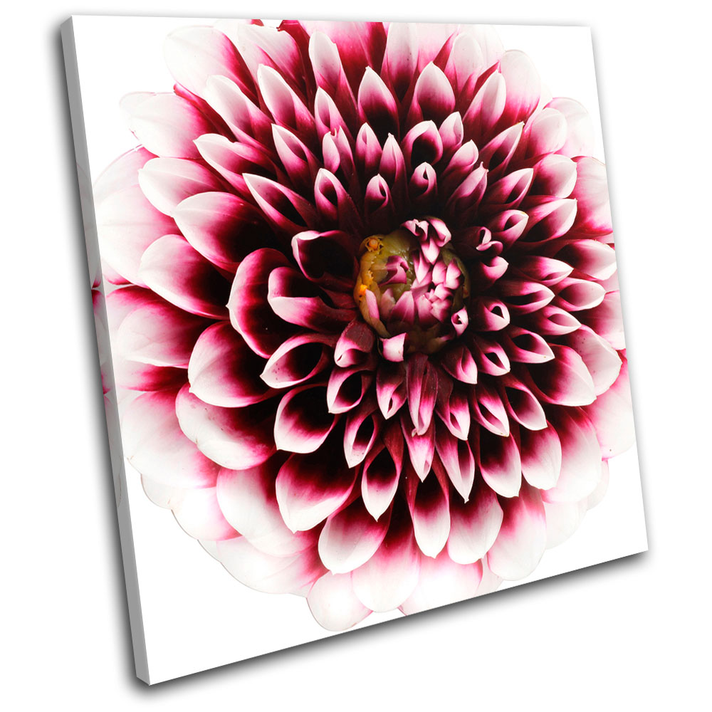 Abstract Flower Floral SINGLE CANVAS WALL ART Picture Print VA | eBay