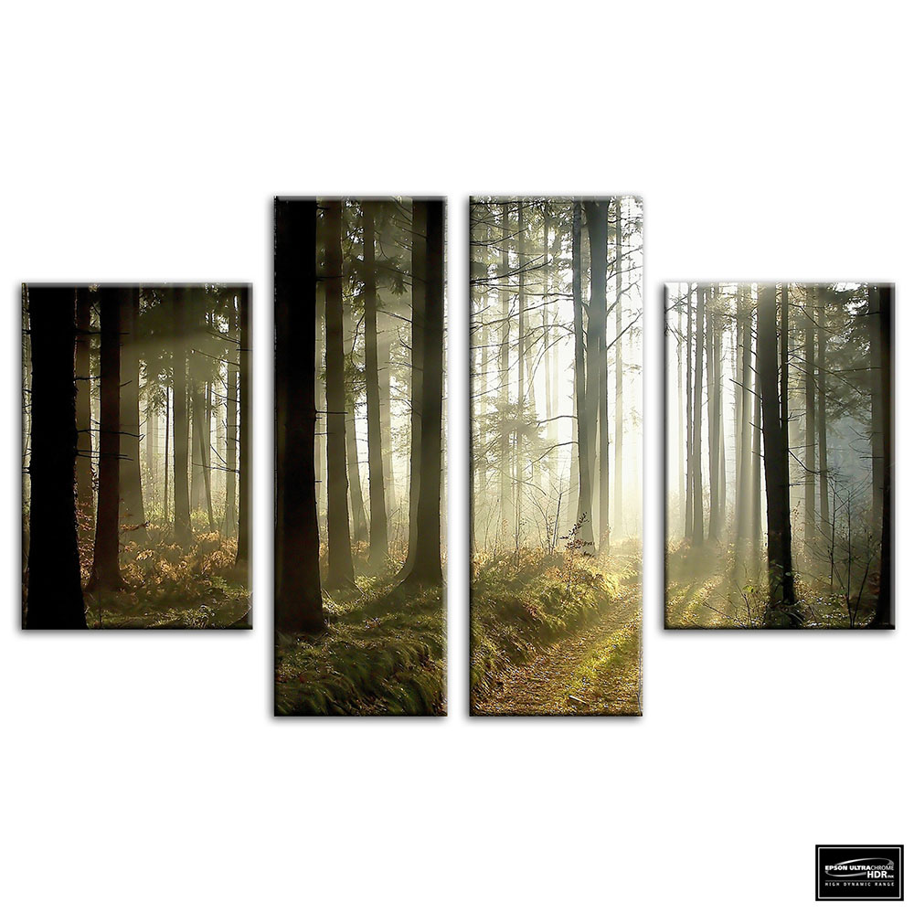 Woodland Forest Landscapes BOX FRAMED CANVAS ART Picture HDR 280gsm | eBay
